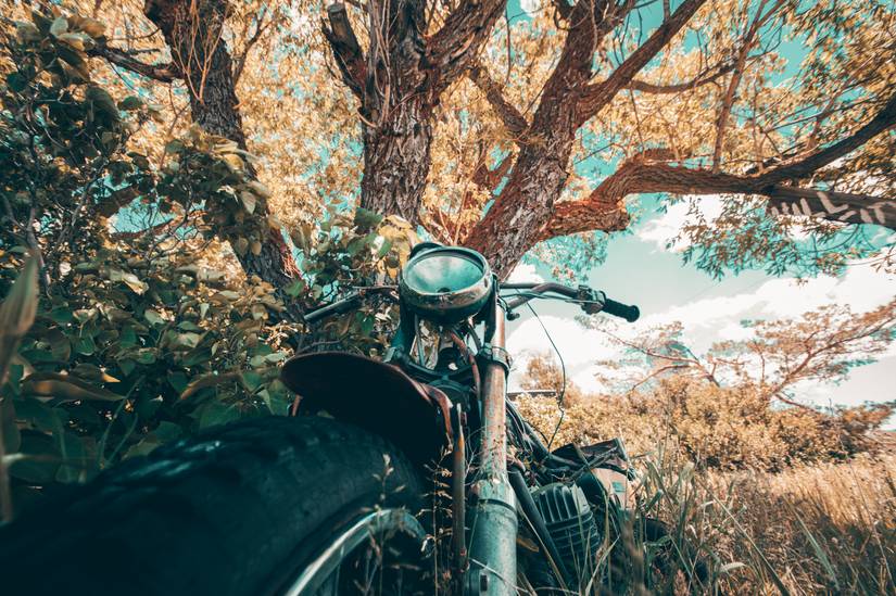 19 Pictures Of Abandoned Motorcycles We Wish We Could Rescue