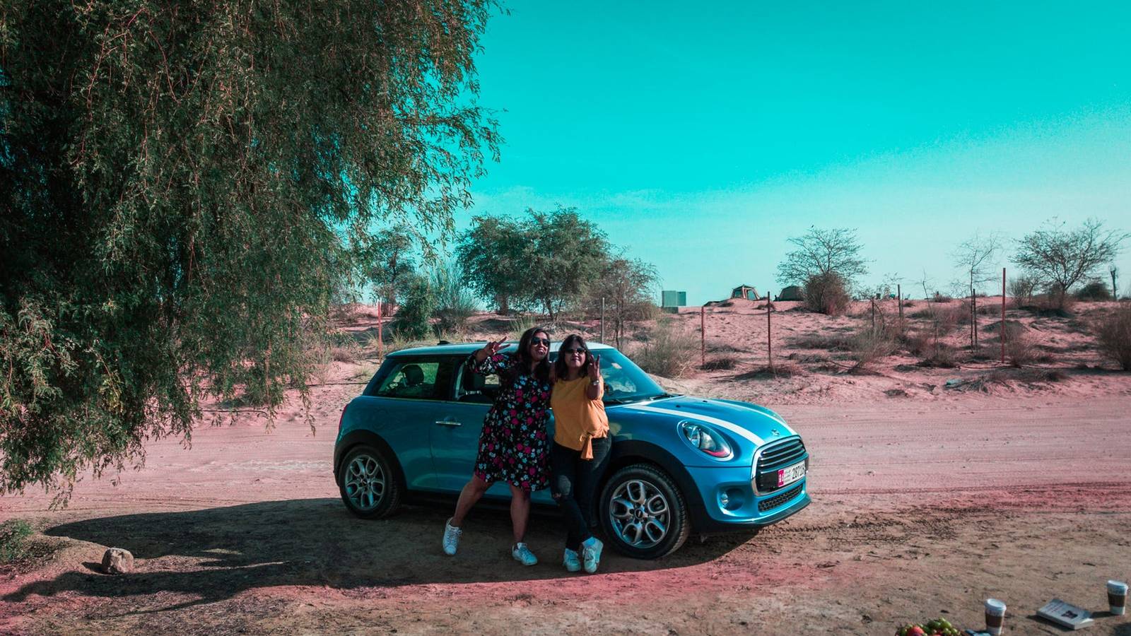 10 Of The Cutest Cars With A Surprising Amount Of Power