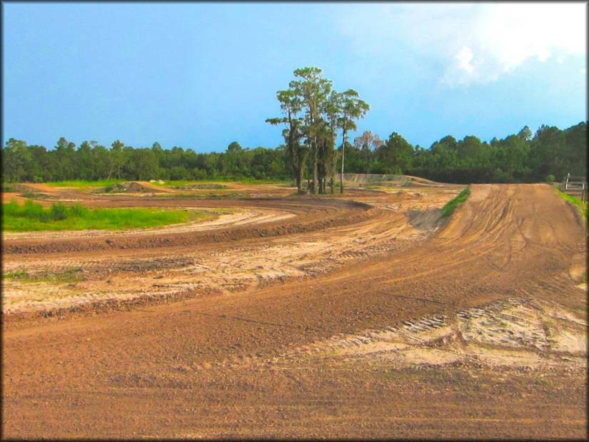 10 Awesome Race Tracks You'll Only Find In Florida