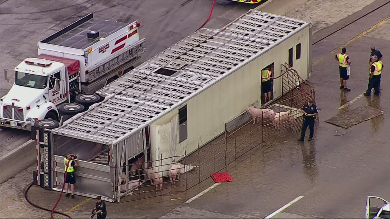 15 Photos Of Weird And Ridiculous Semi Truck Spills