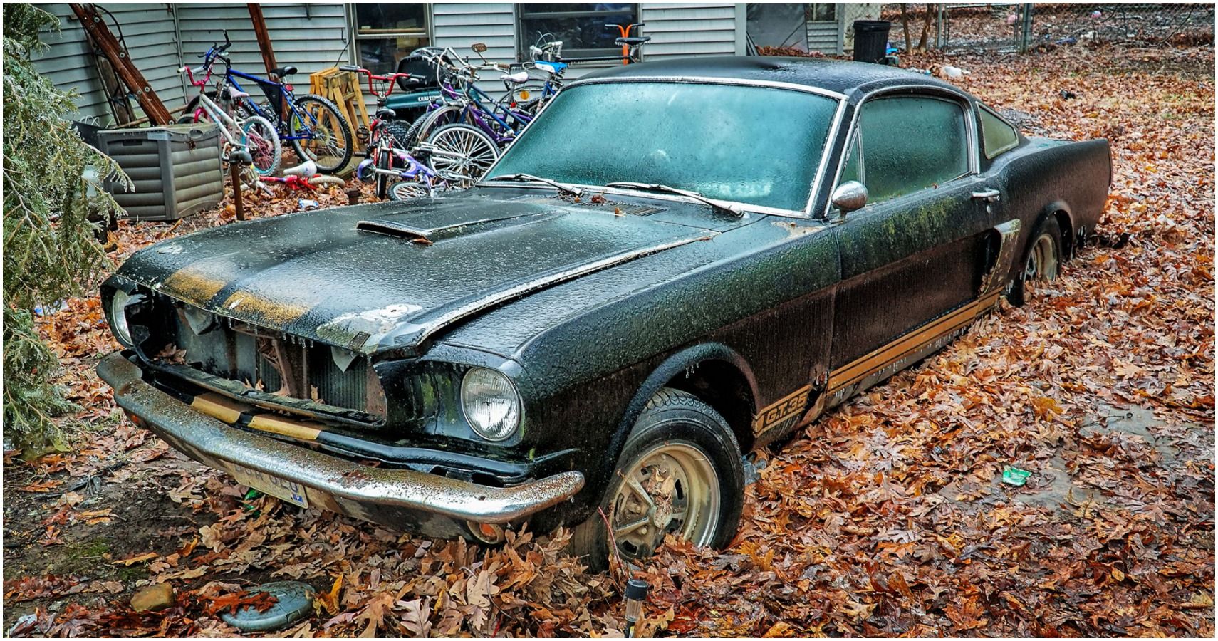 10 Coolest Mustangs People Found Abandoned