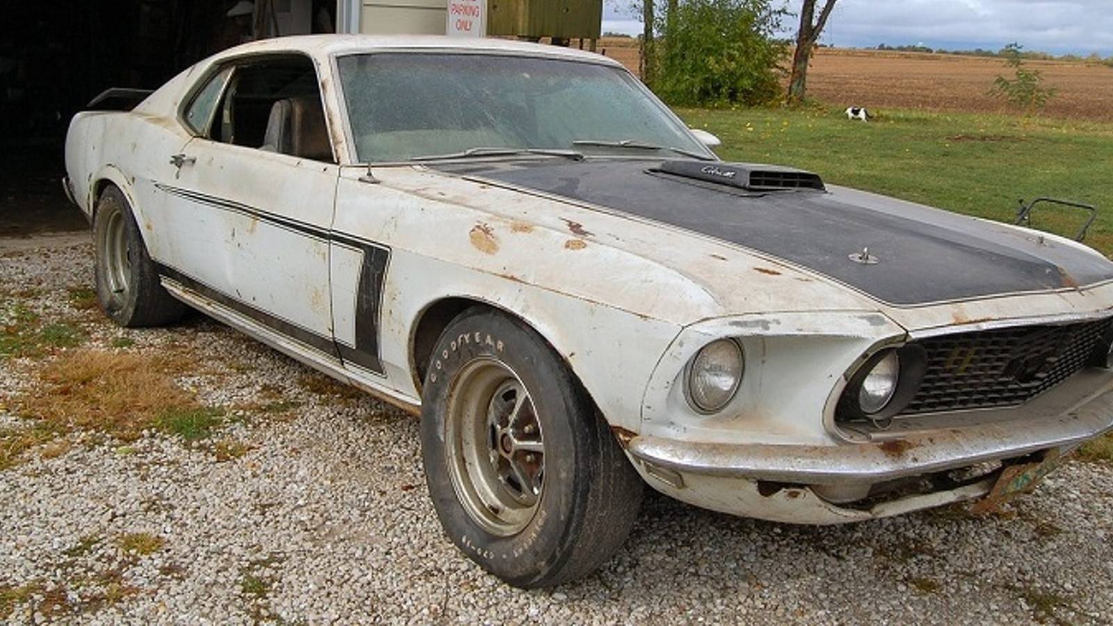Here Are Some Infuriating Photos Of Perfect American Muscle Cars ...
