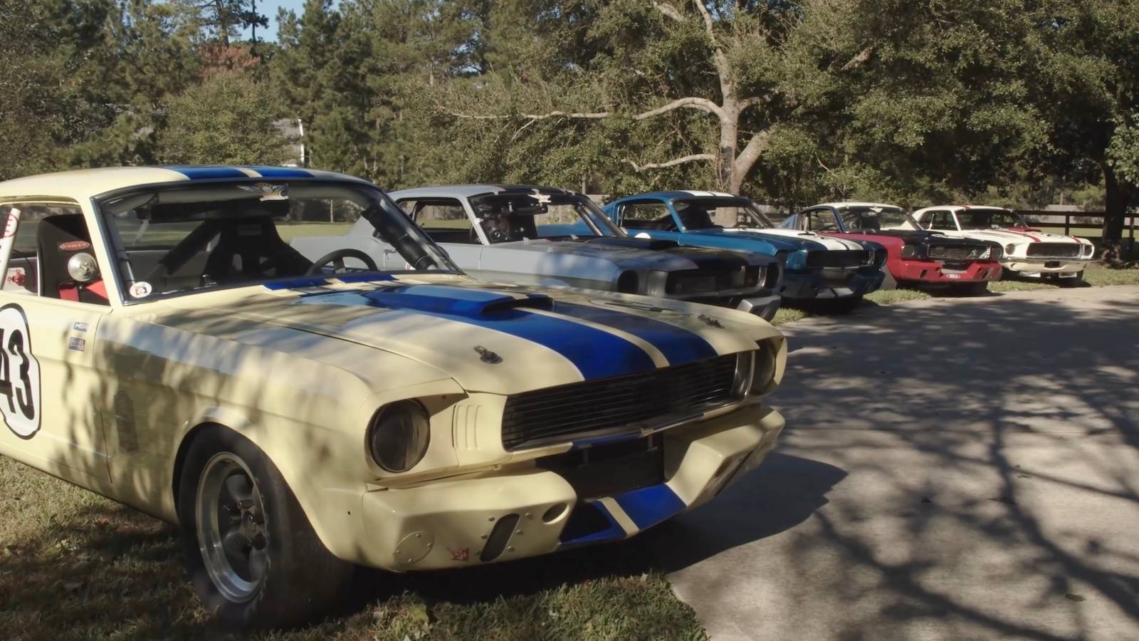 Huge Mustang Collection Is A Texas Family's Pride And Joy