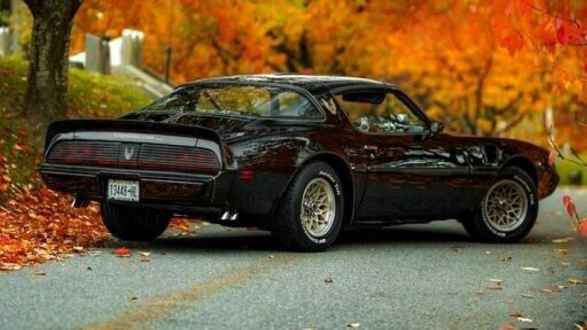 Single-Owner 1981 Pontiac Trans Am Is A 49,000-Mile Stunner From Texas