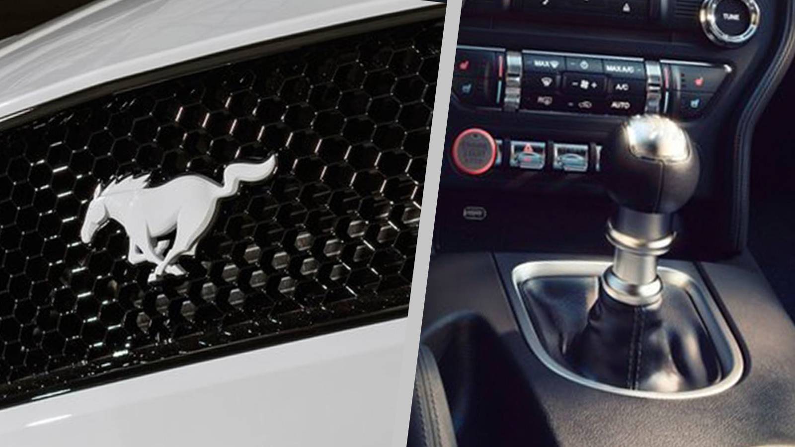 Here's Why A Stick-Shift Next-Gen Ford Mustang Is The Need Of The Hour