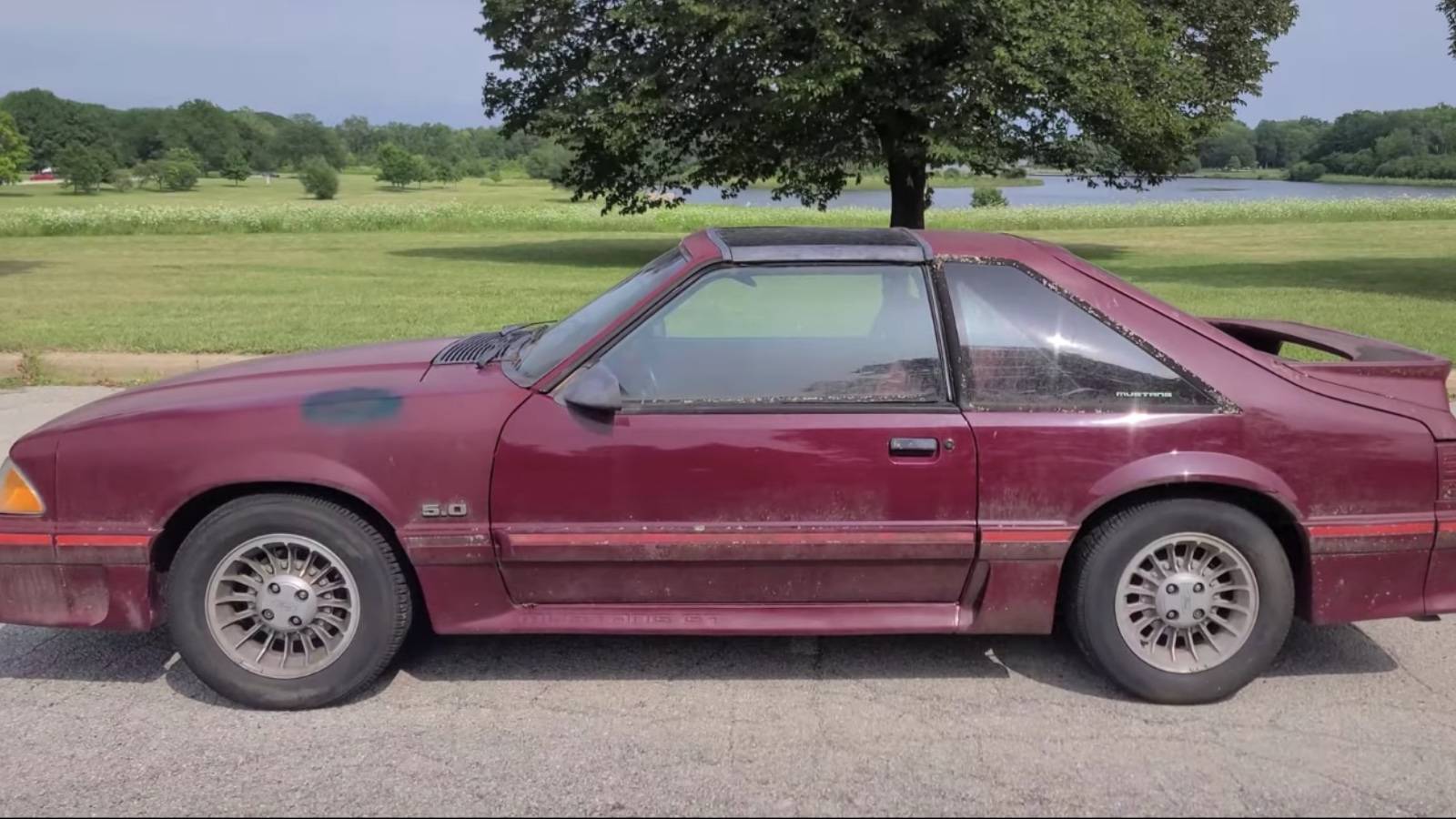 I'm A Survivor: Watch This Abandoned Fox Body Ford Mustang Receive A ...