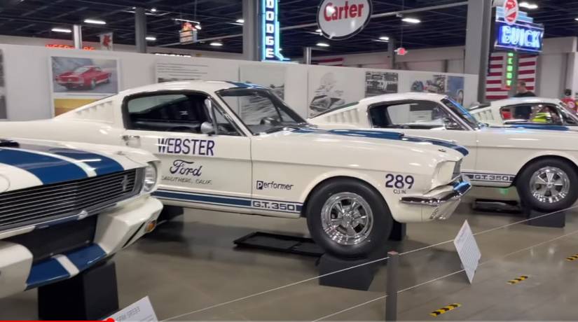 Mega Shelby Ford Mustang Find Inside This Secret Oregon Muscle Car Museum