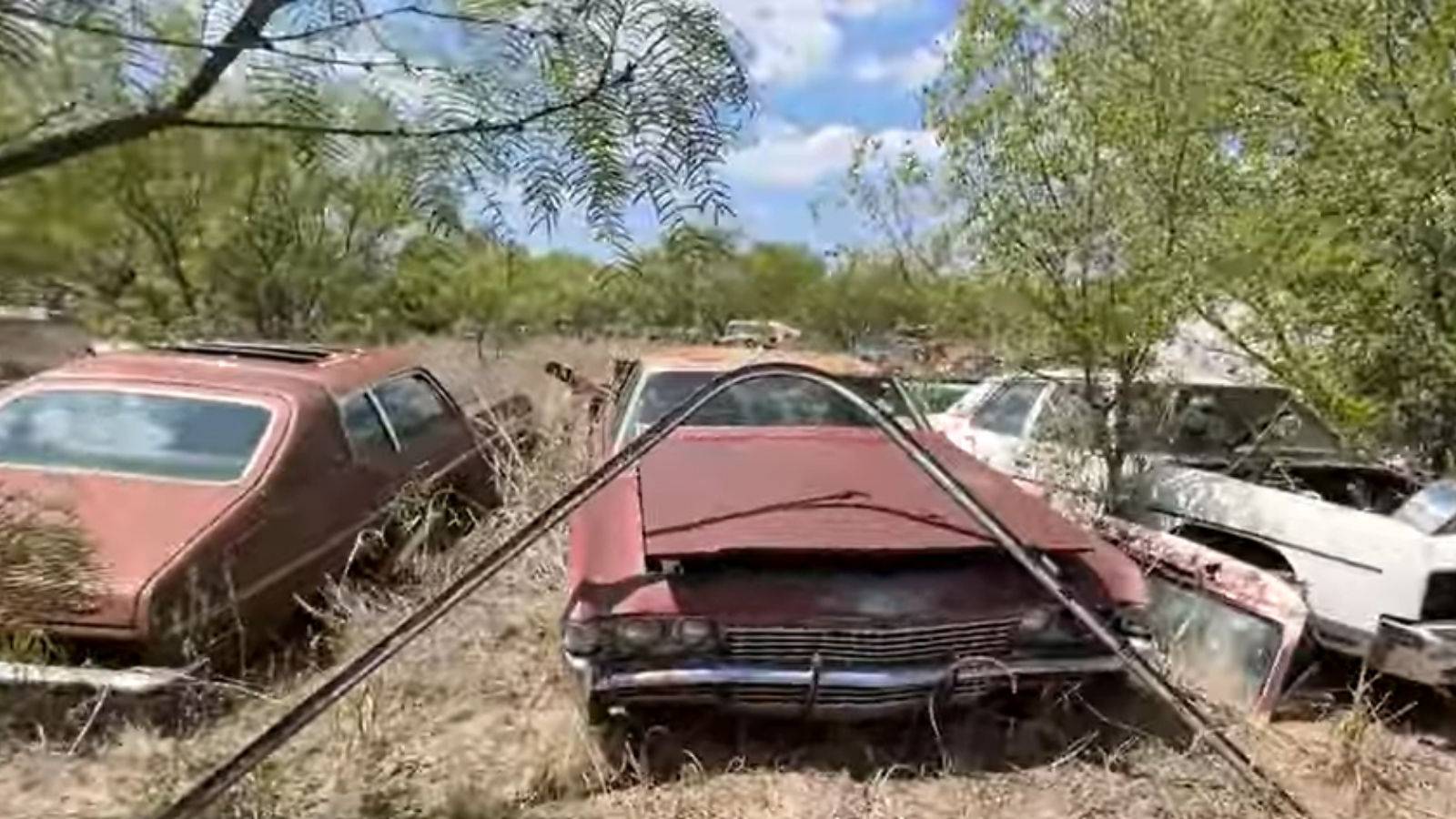 See This Lucky Family's Giant Collection Of Classic Cars In Texas
