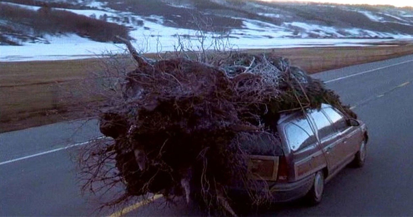The Real Story Behind The Ford Taurus Wagon From 'National Lampoon's ...