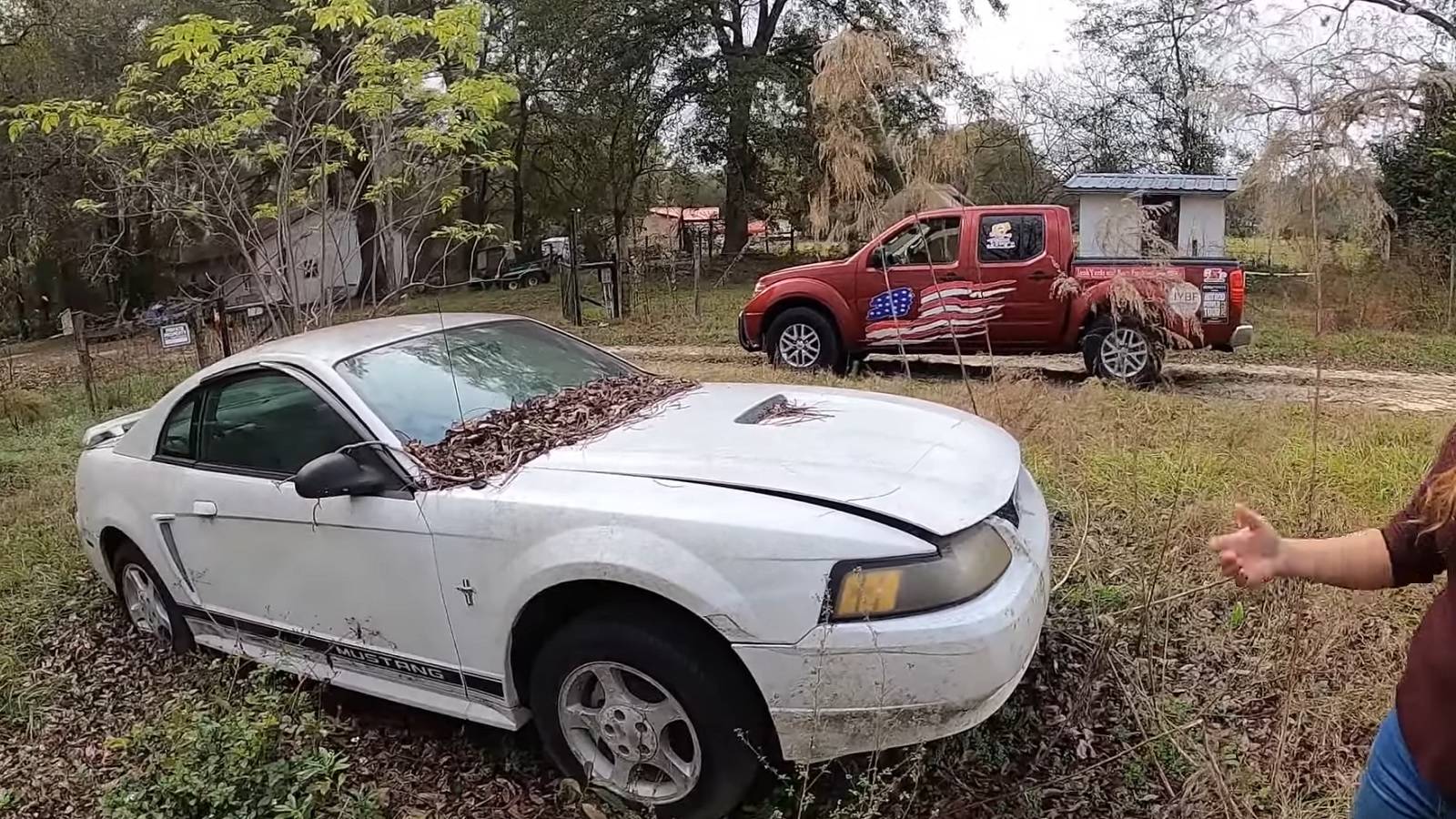 Georgia Backroads Yield Ford Treasures For This Barn Find Expert