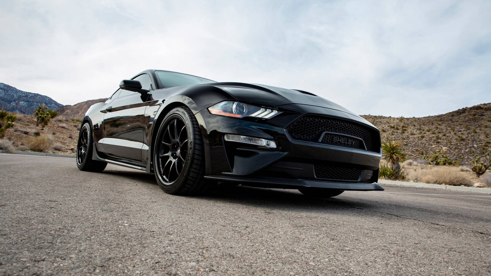 The Real Story Behind The Ford Mustang's Name