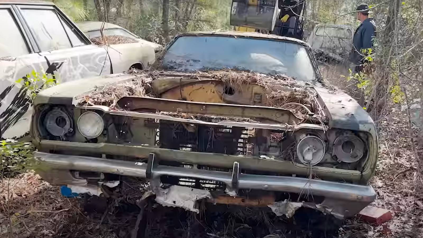 Barn Find Hunters Yank A Great Plymouth Road Runner And Barracuda From ...