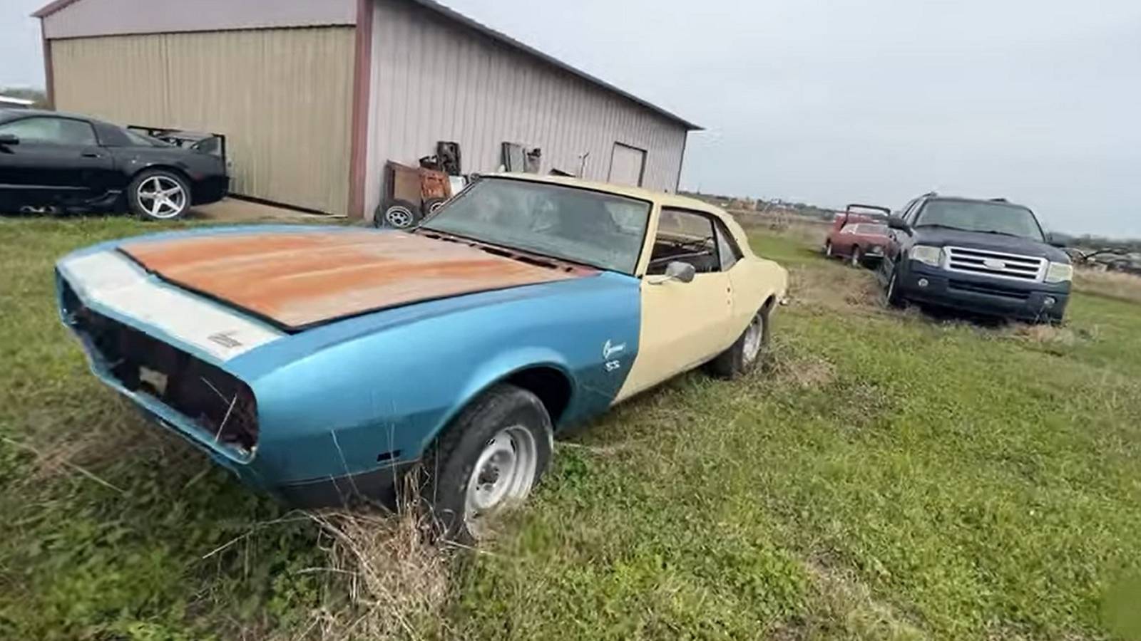 Barn Find Explorer Happens Upon Classic Treasures In Field Including ...