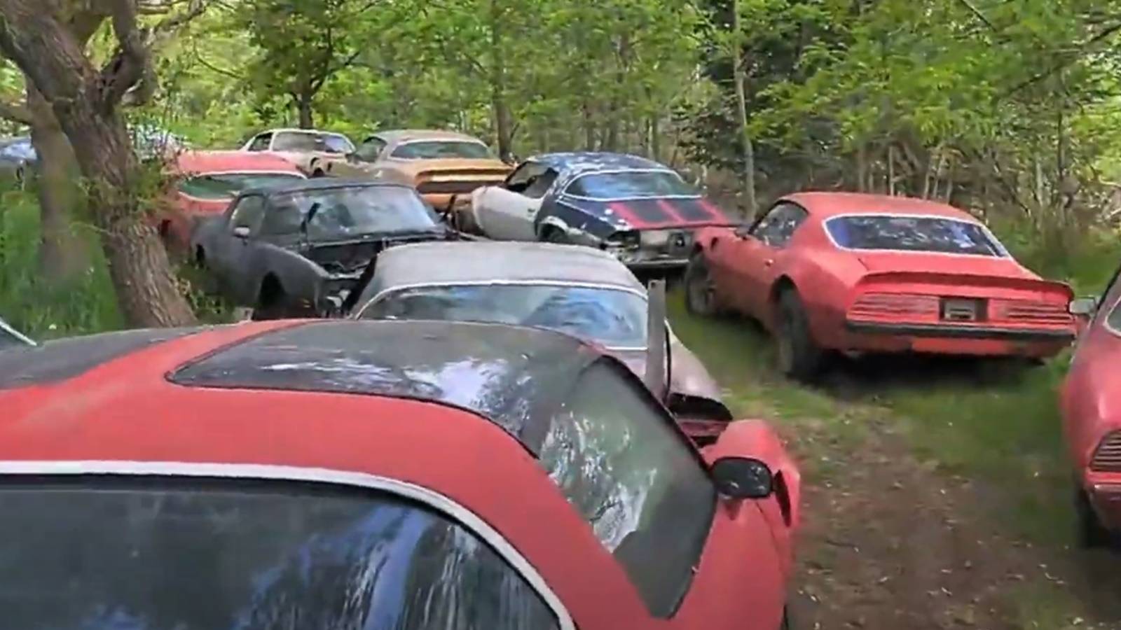 This Amazing Collection Of 50 Pontiac Trans Ams Has Something For ...