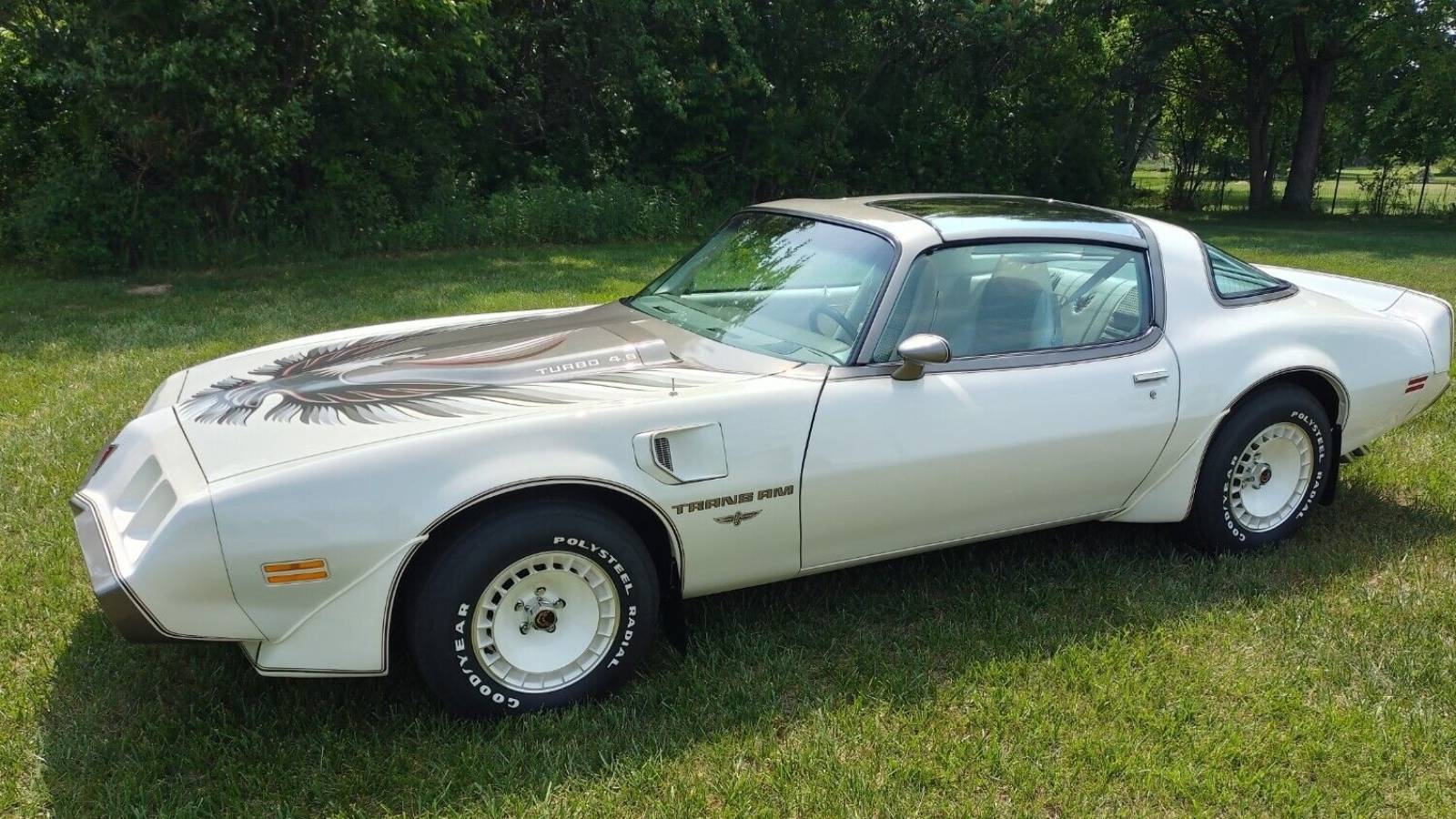 Why We're Saving Up For This Mint 1980 Pontiac Firebird Trans Am With ...