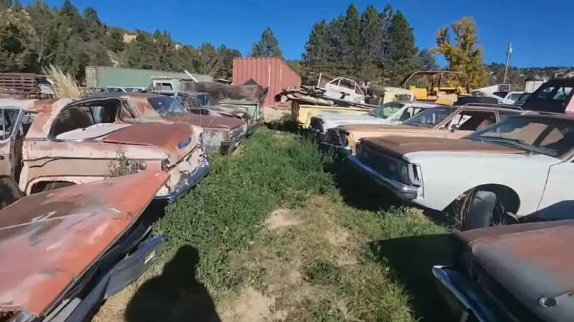 Massive Collection Of Over 300 Classic Cars Found Hidden In A Forest