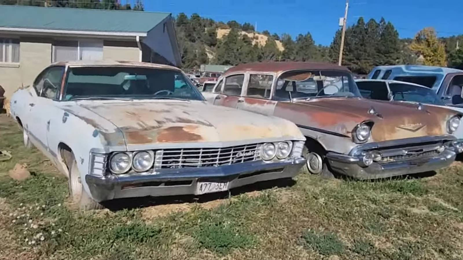 Massive Collection Of Over 300 Classic Cars Found Hidden In A Forest