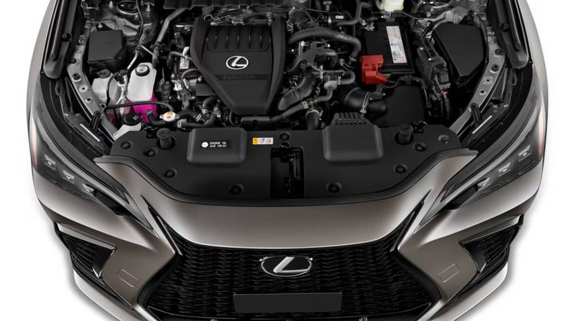 2024 Lexus NX | HotCars