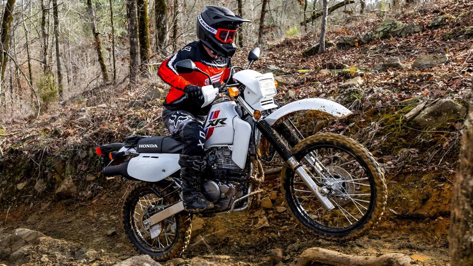 15 Desirable Dual-Sport Motorcycles To Buy In 2024