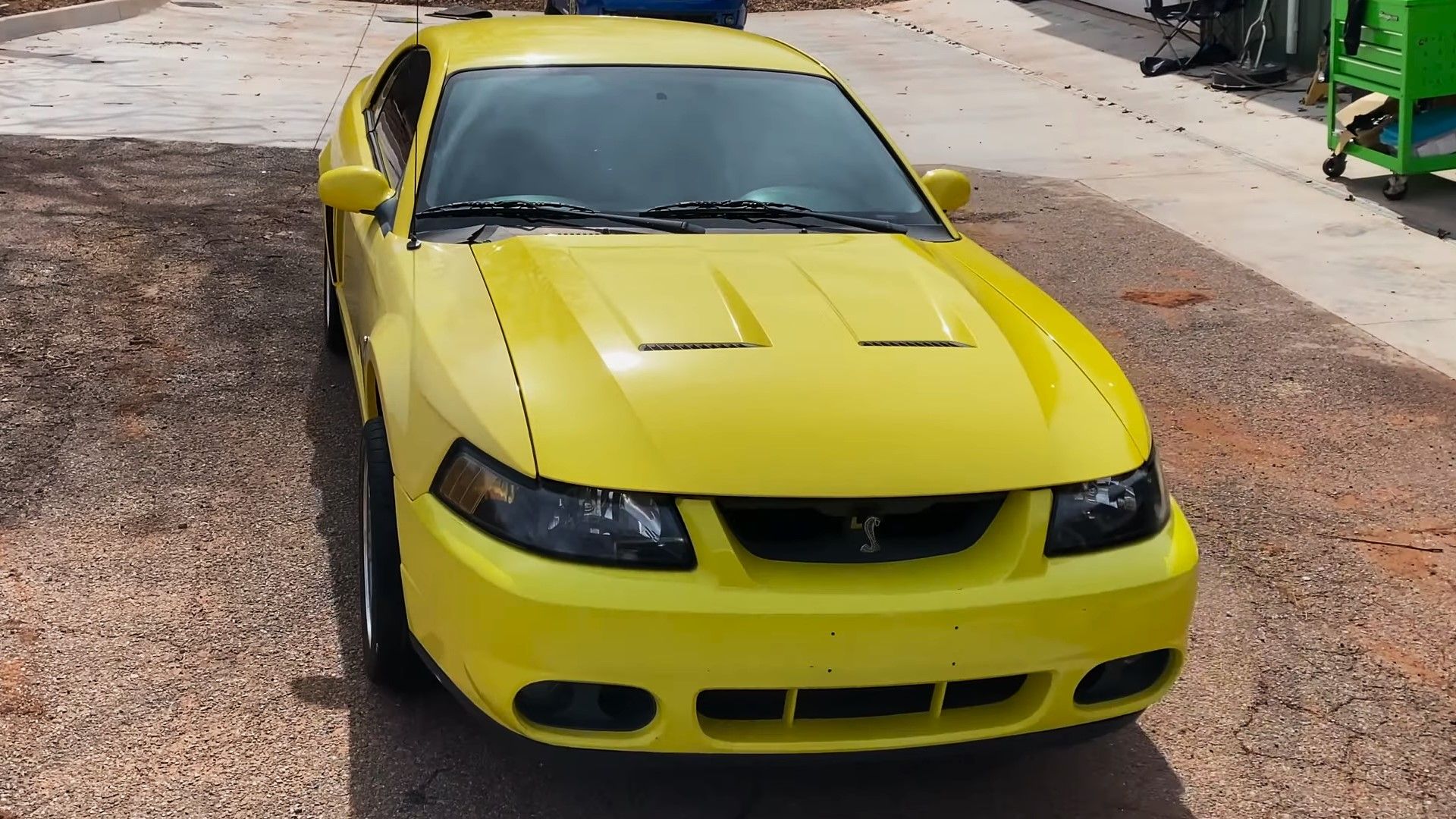 Neglected 2003 Ford Mustang Terminator Cobra Goes From Barn To Beauty