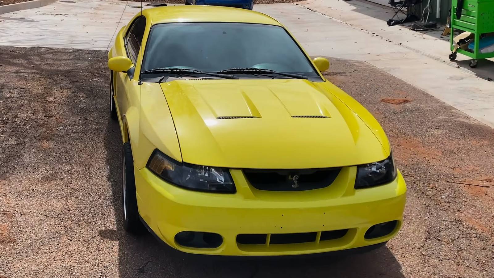 Neglected 2003 Ford Mustang Terminator Cobra Goes From Barn To Beauty