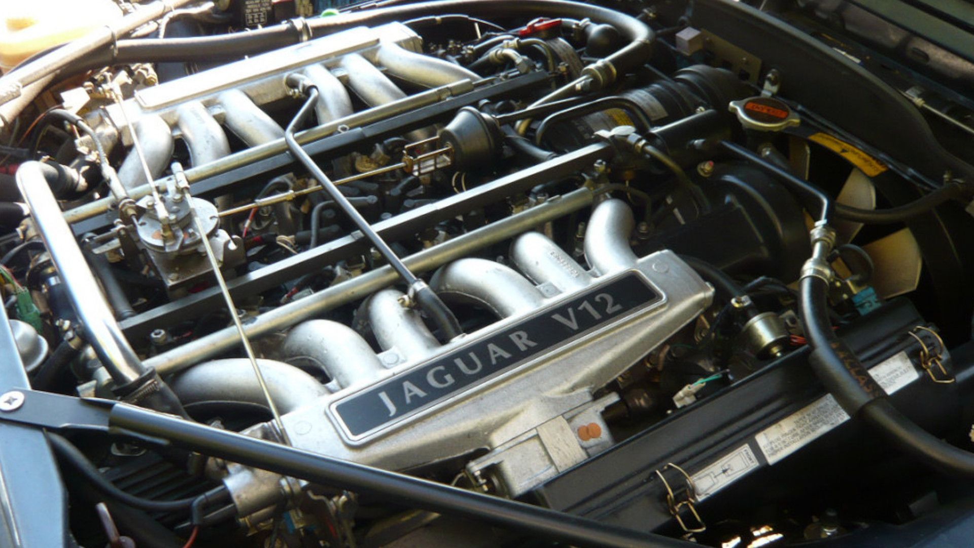 The V12 Lister Storm Was The Fastest ’90s 4-Seater GT, And Only Four ...