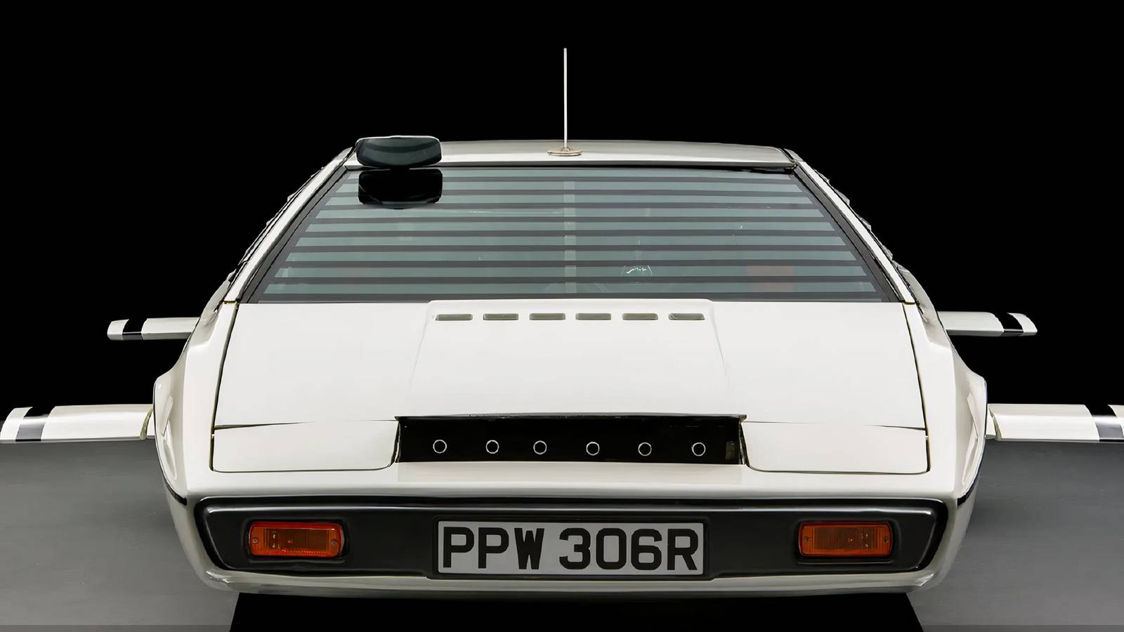 Wet Nellie Is The Name Of Elon Musk's Most Expensive Car