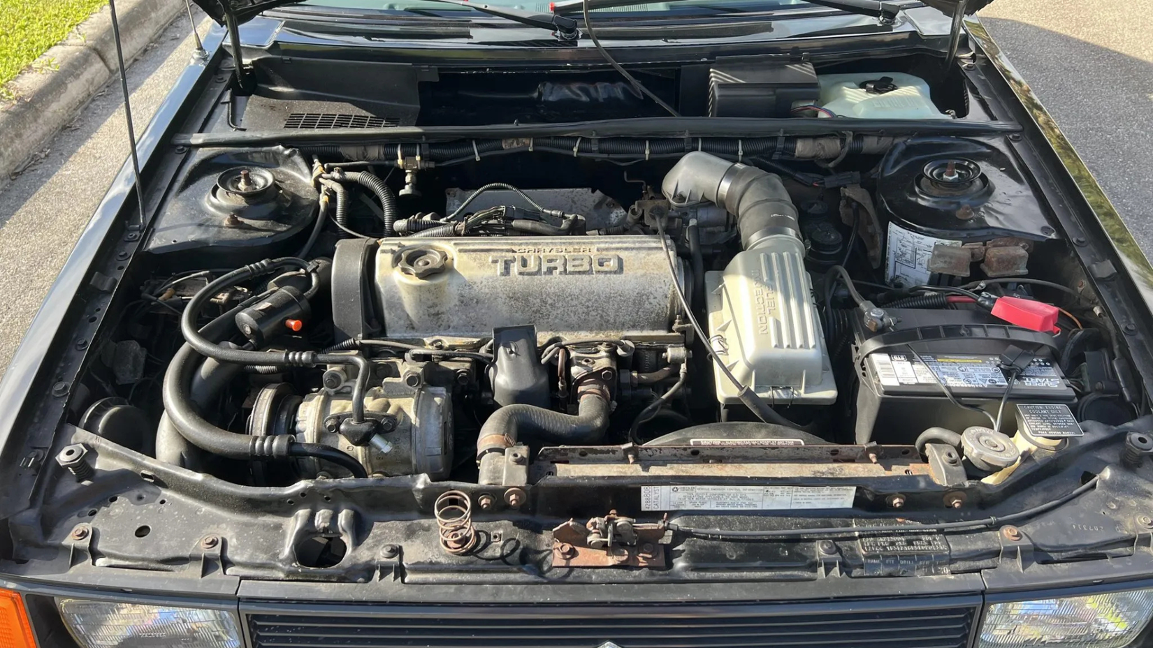 The Crazy Fast '80s Hatch Carroll Shelby Built And Almost Everyone Forgot