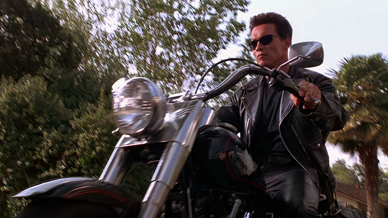 Arnold Schwarzenegger Immortalized This Harley-Davidson