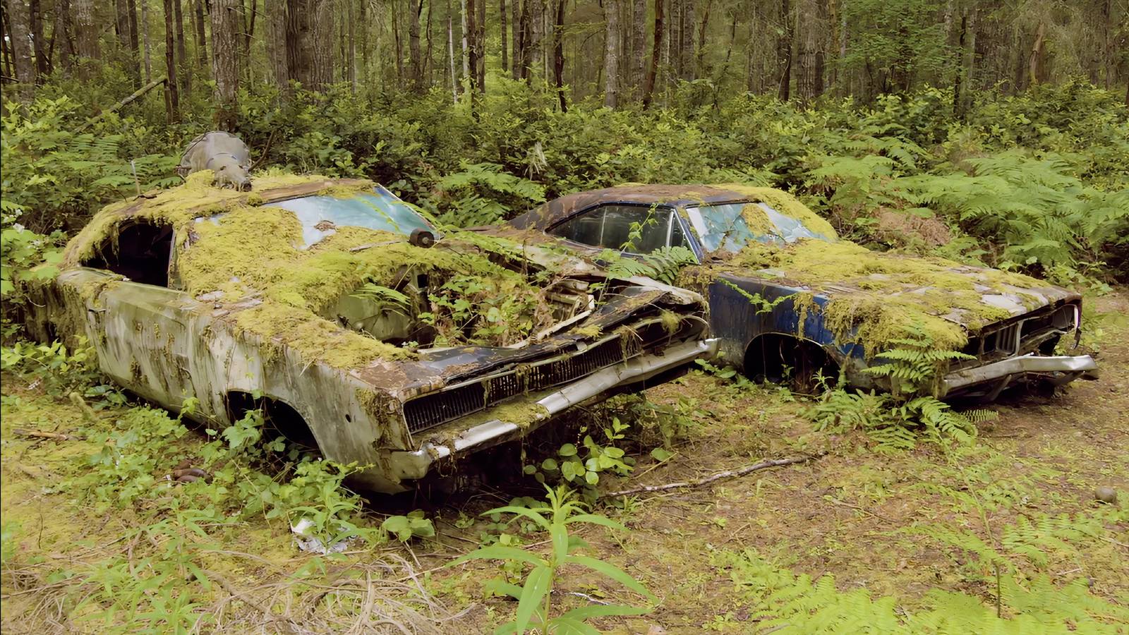 This Rotting Mopar Wreck Just Brought A Charger Back To Life