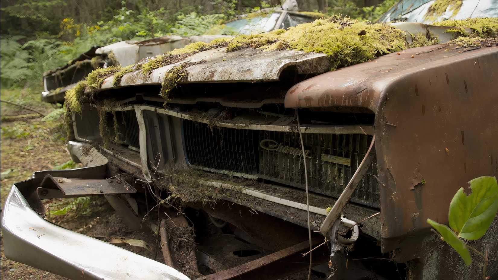 This Rotting Mopar Wreck Just Brought A Charger Back To Life