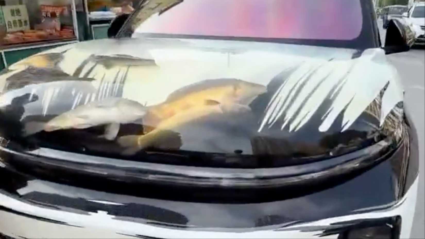 Live From China: A Fish Tank SUV Nobody Asked For