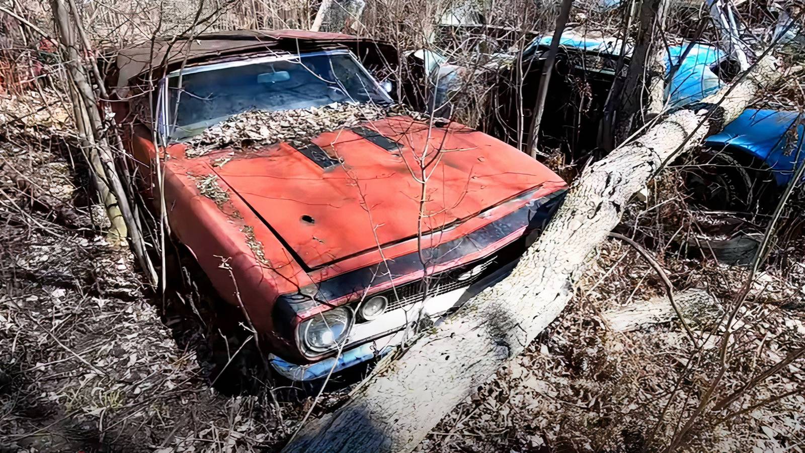 Classic Muscle Lost to Time? Rare Berger Camaro SS Found In Forgotten ...