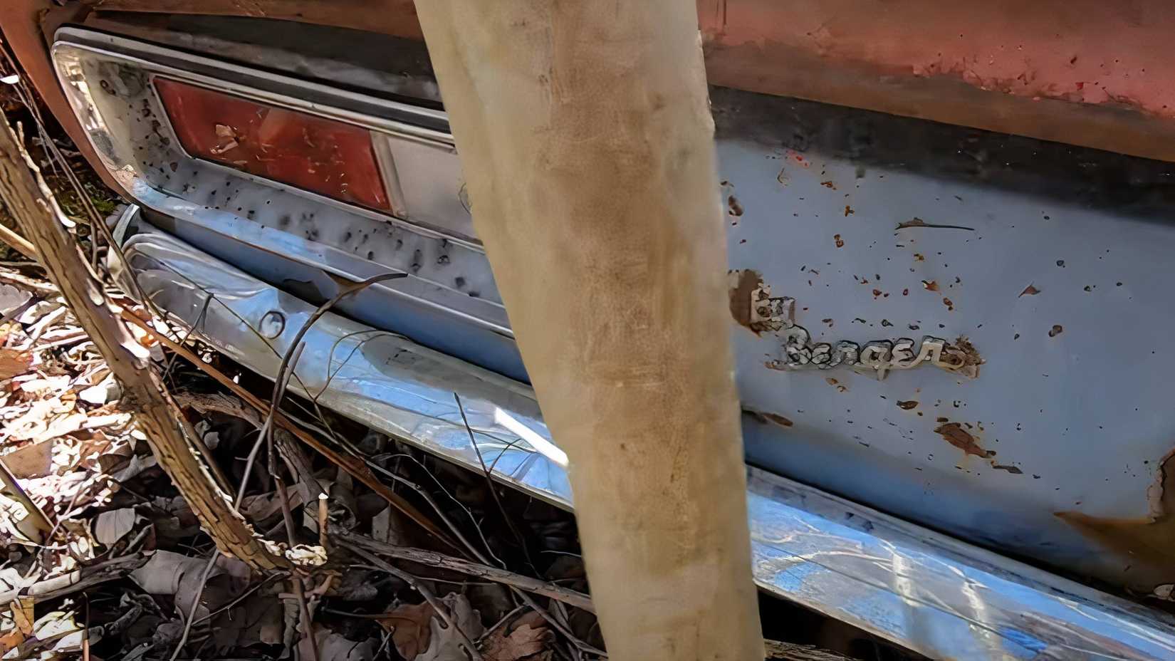 Classic Muscle Lost to Time? Rare Berger Camaro SS Found In Forgotten ...