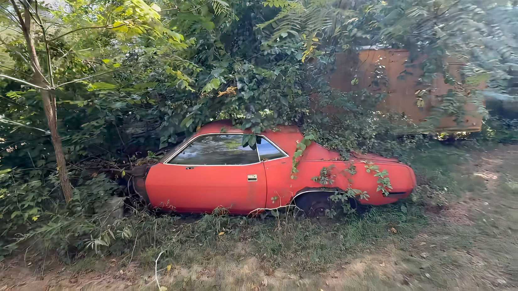 Welcome To Mopar Purgatory Where Rare Plymouth Cudas Wait For Redemption