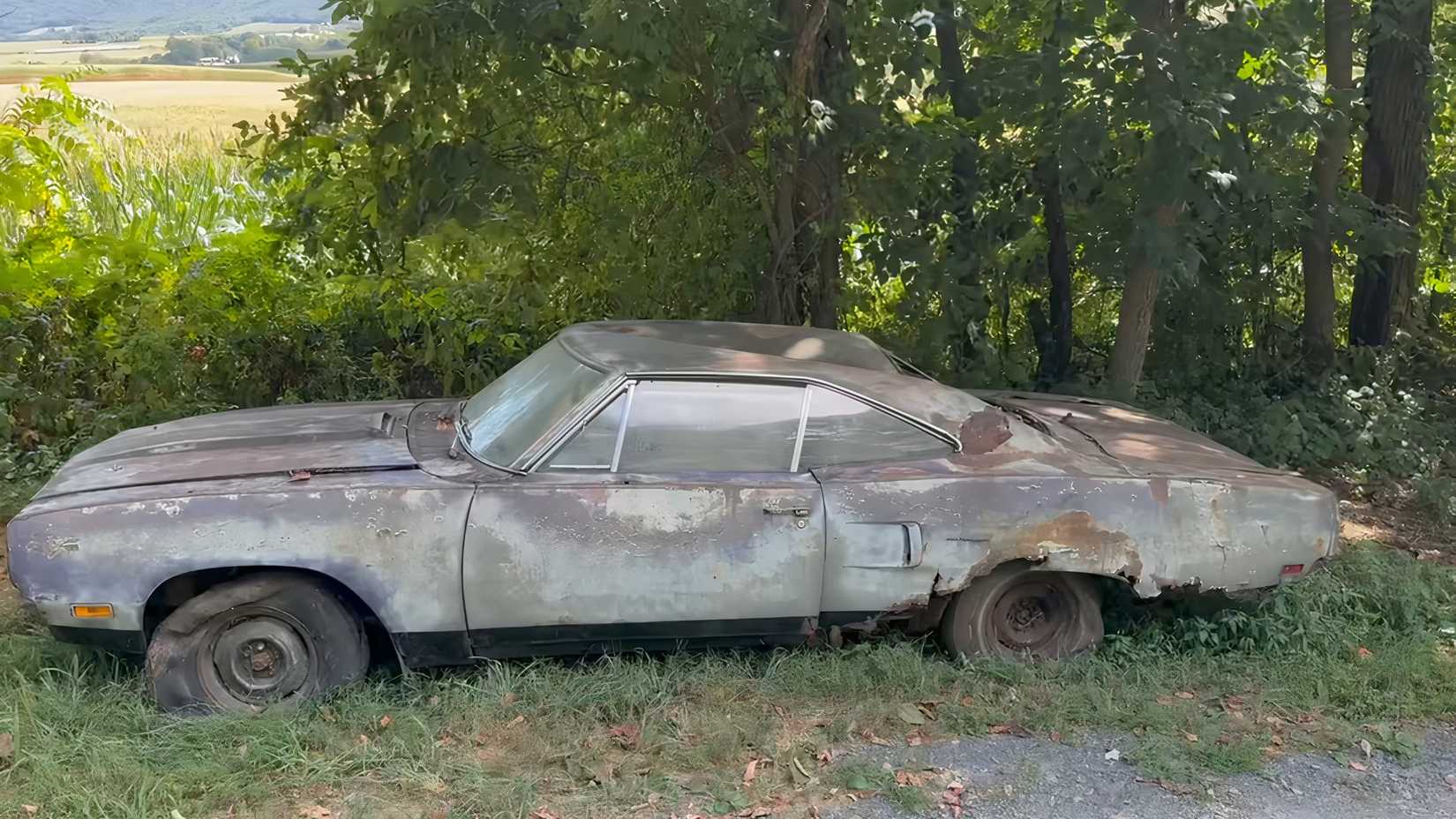 Welcome To Mopar Purgatory Where Rare Plymouth Cudas Wait For Redemption