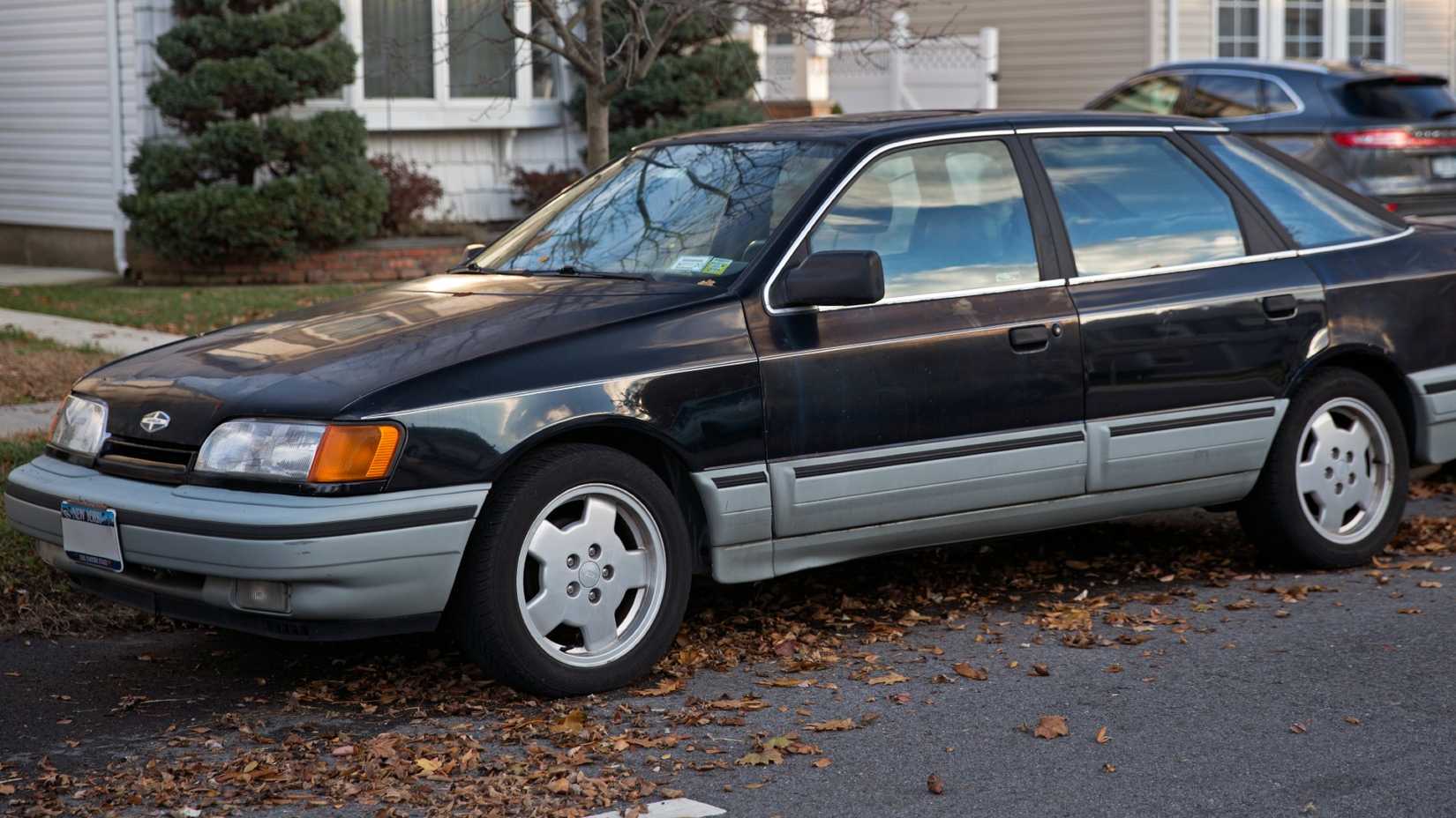 10 Weirdest Captive Imports You Can Buy In America