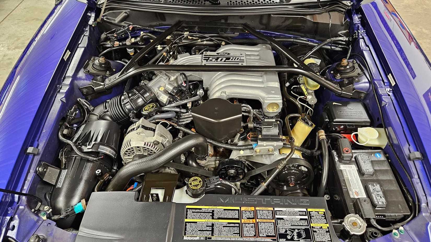 Pristine 1995 Ford Mustang GT Surfaces for Sale