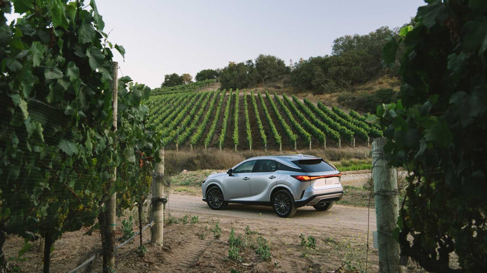 Lexus Prepares New Hybrid SUV To Take On BMW X5
