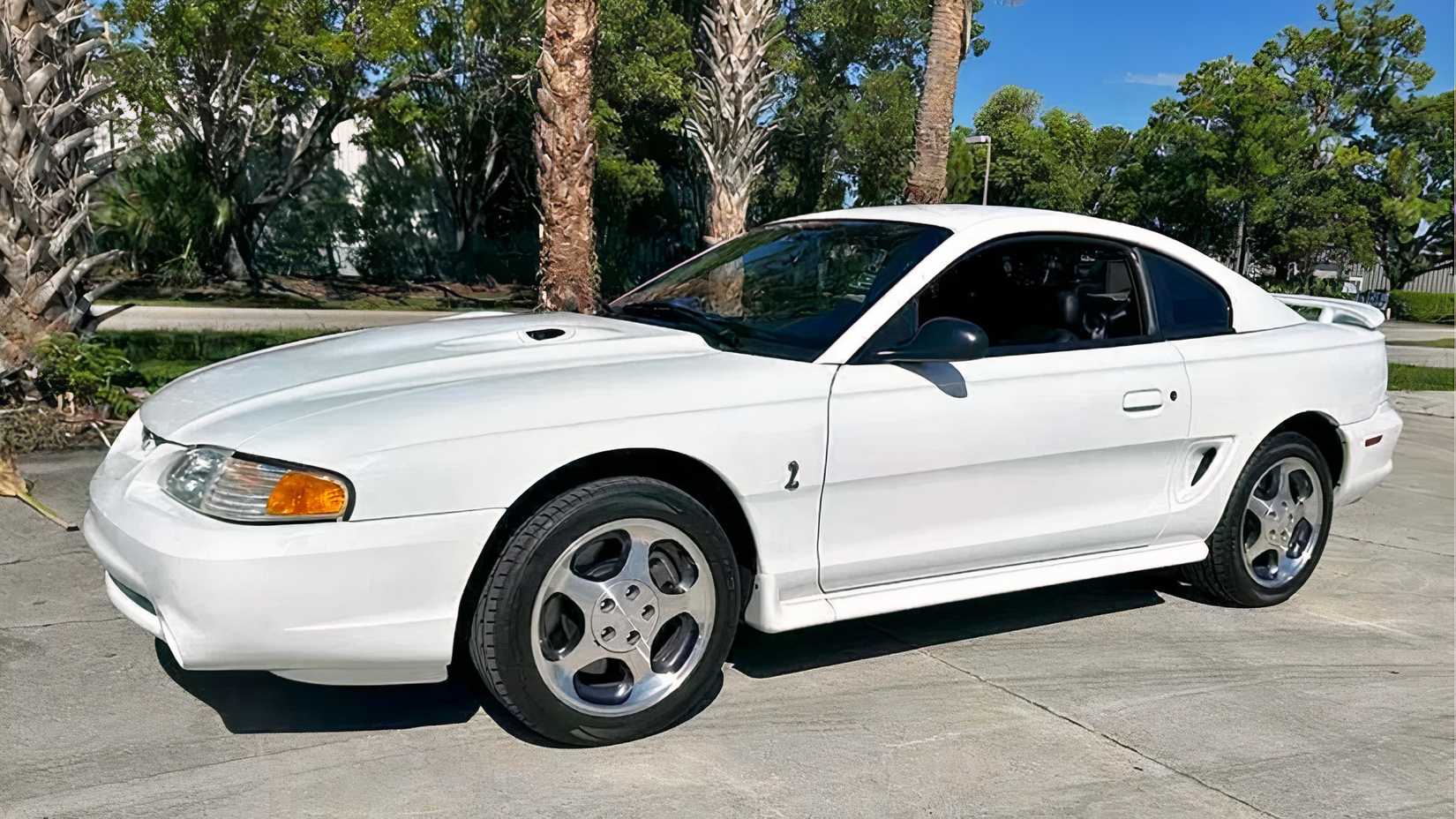 Collection-Grade 1996 Mustang SVT Cobra Costs New Toyota Camry Money