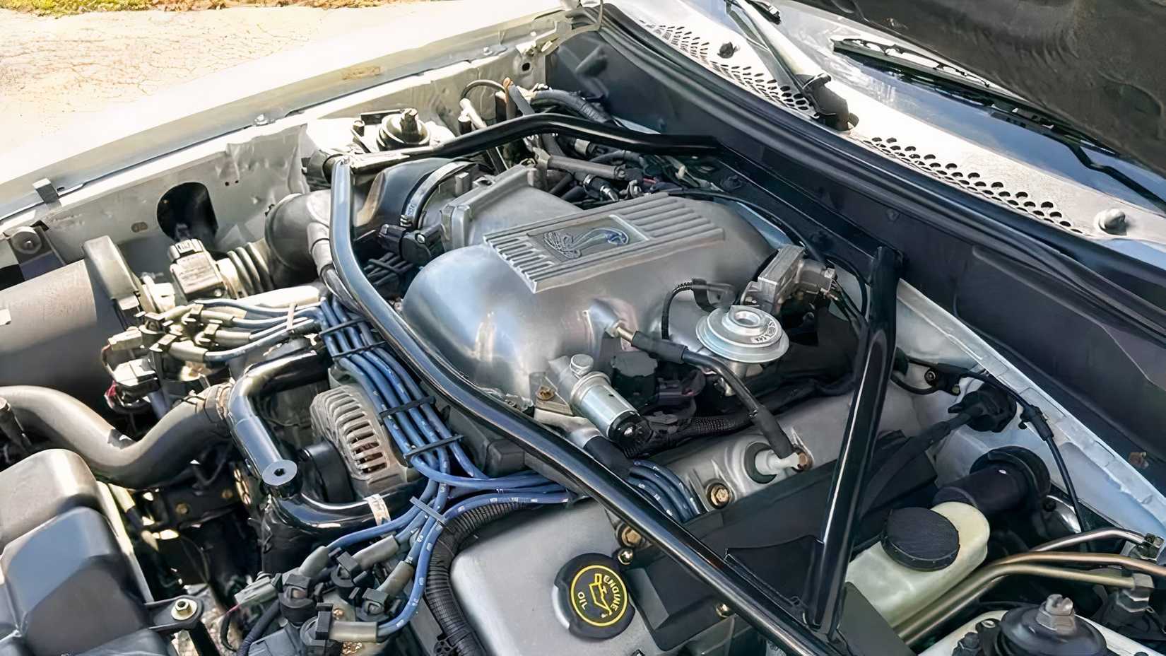 Collection-Grade 1996 Mustang SVT Cobra Costs New Toyota Camry Money