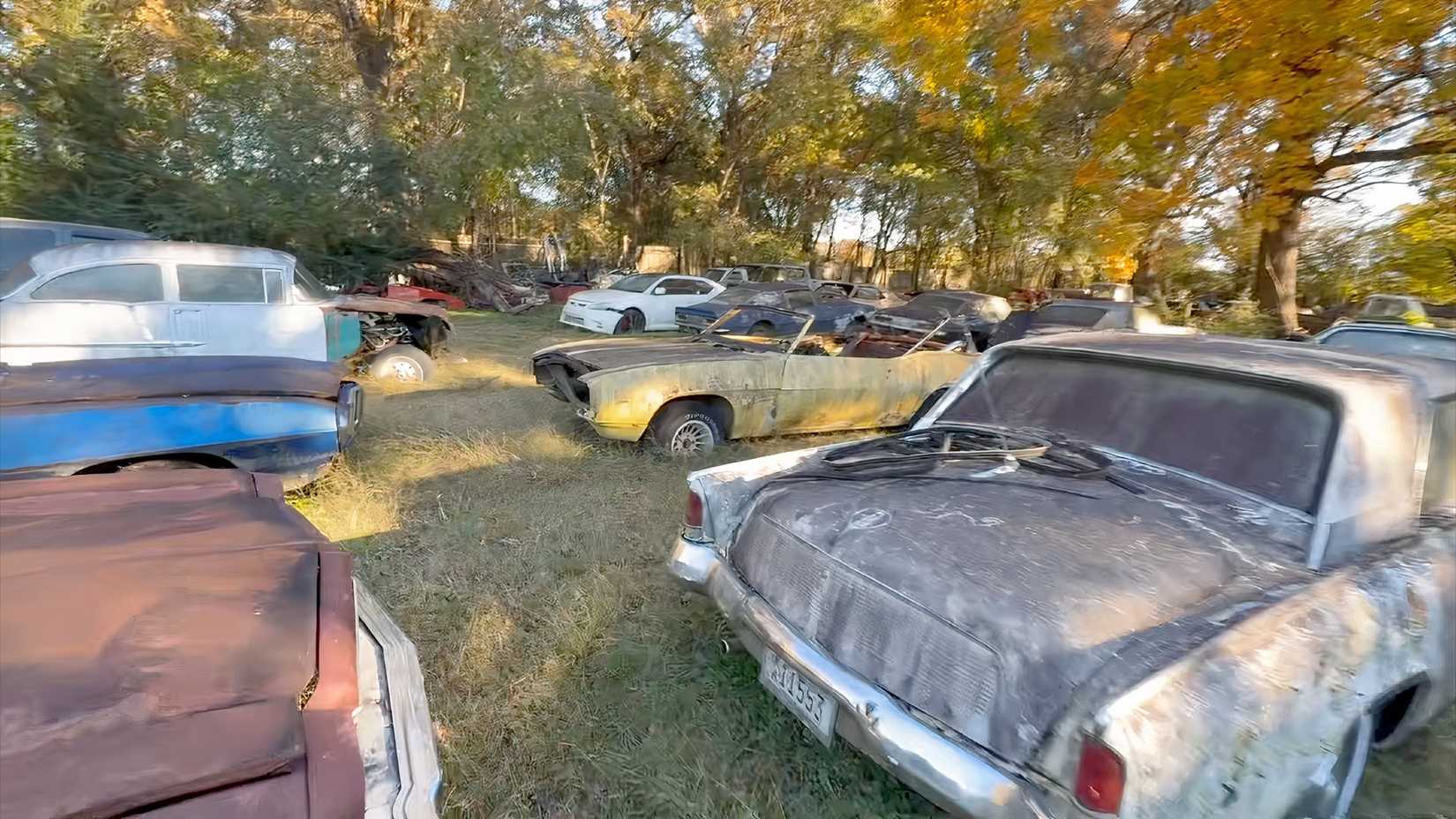 Tennessee Backyard Loaded With Vintage Muscle Cars And Classics