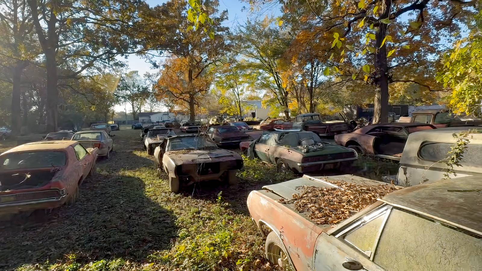 Tennessee Backyard Loaded With Vintage Muscle Cars And Classics