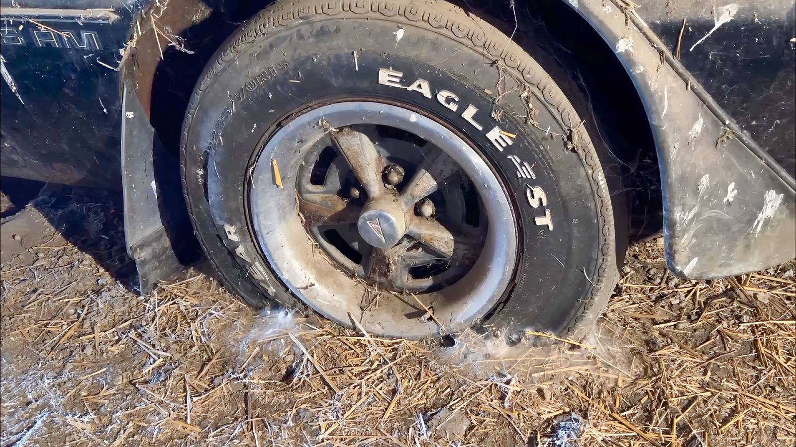 1978 Smokey And The Bandit Pontiac Trans Am Barn Find Gets First Wash ...