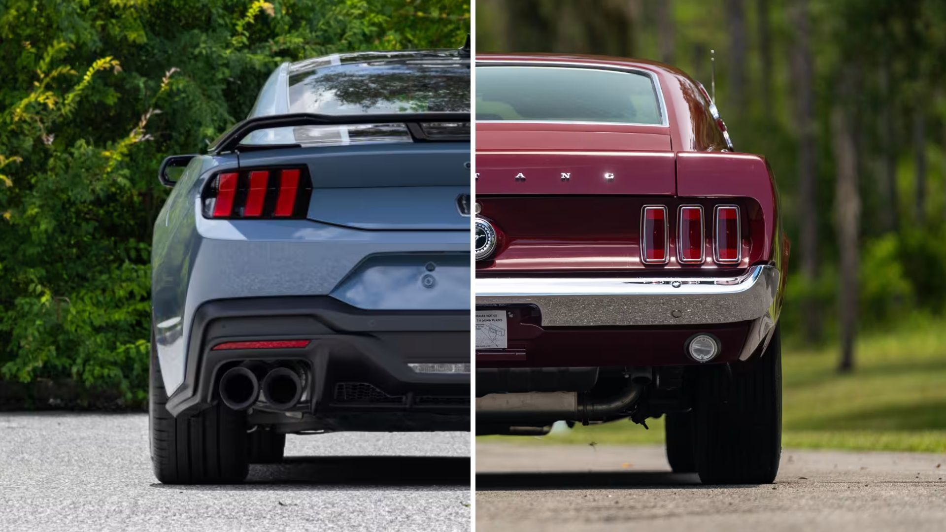 Modifying Your 2025 Ford Mustang GT? Watch And Learn!