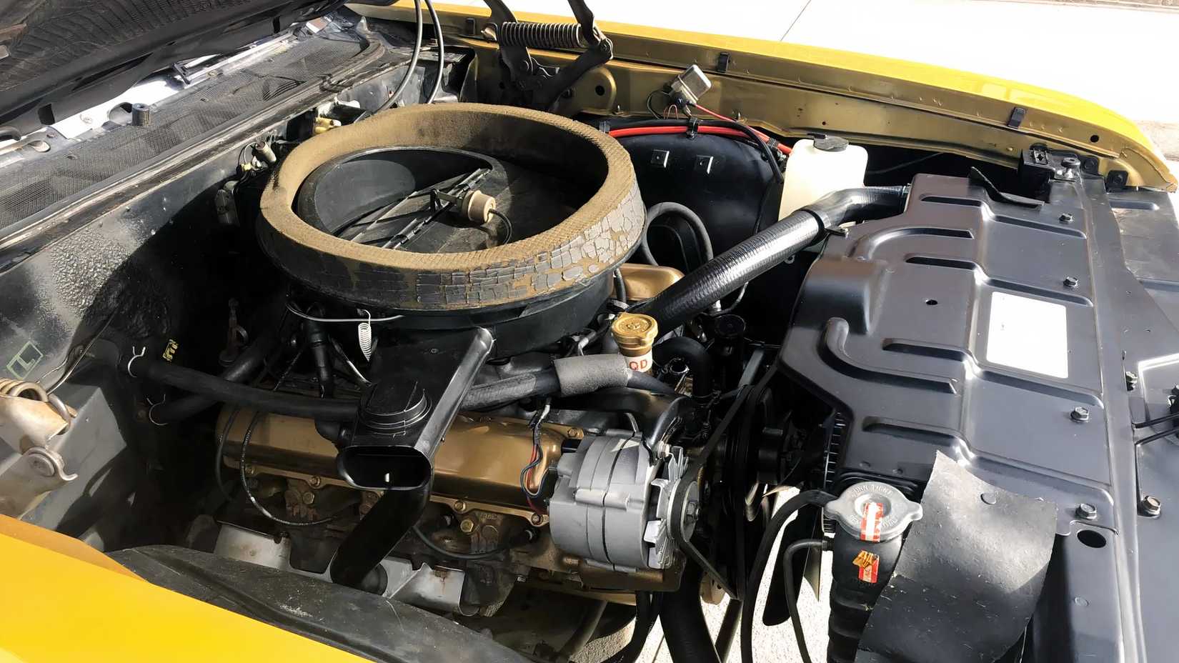 The Oldsmobile Muscle Car Collectors Secretly Hunt For