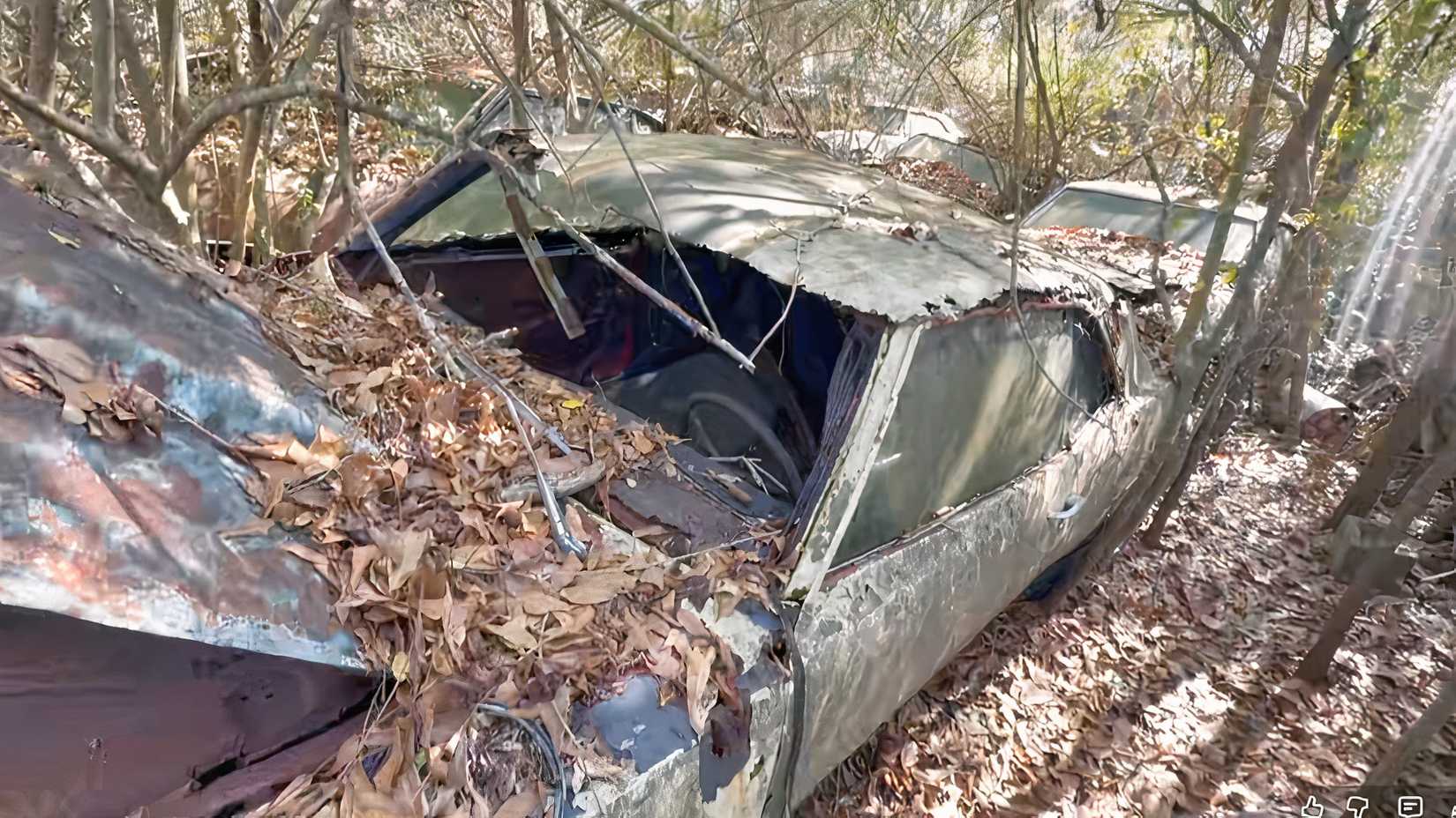 Forest Discovery Shows America’s Greatest Muscle Cars In Ruin
