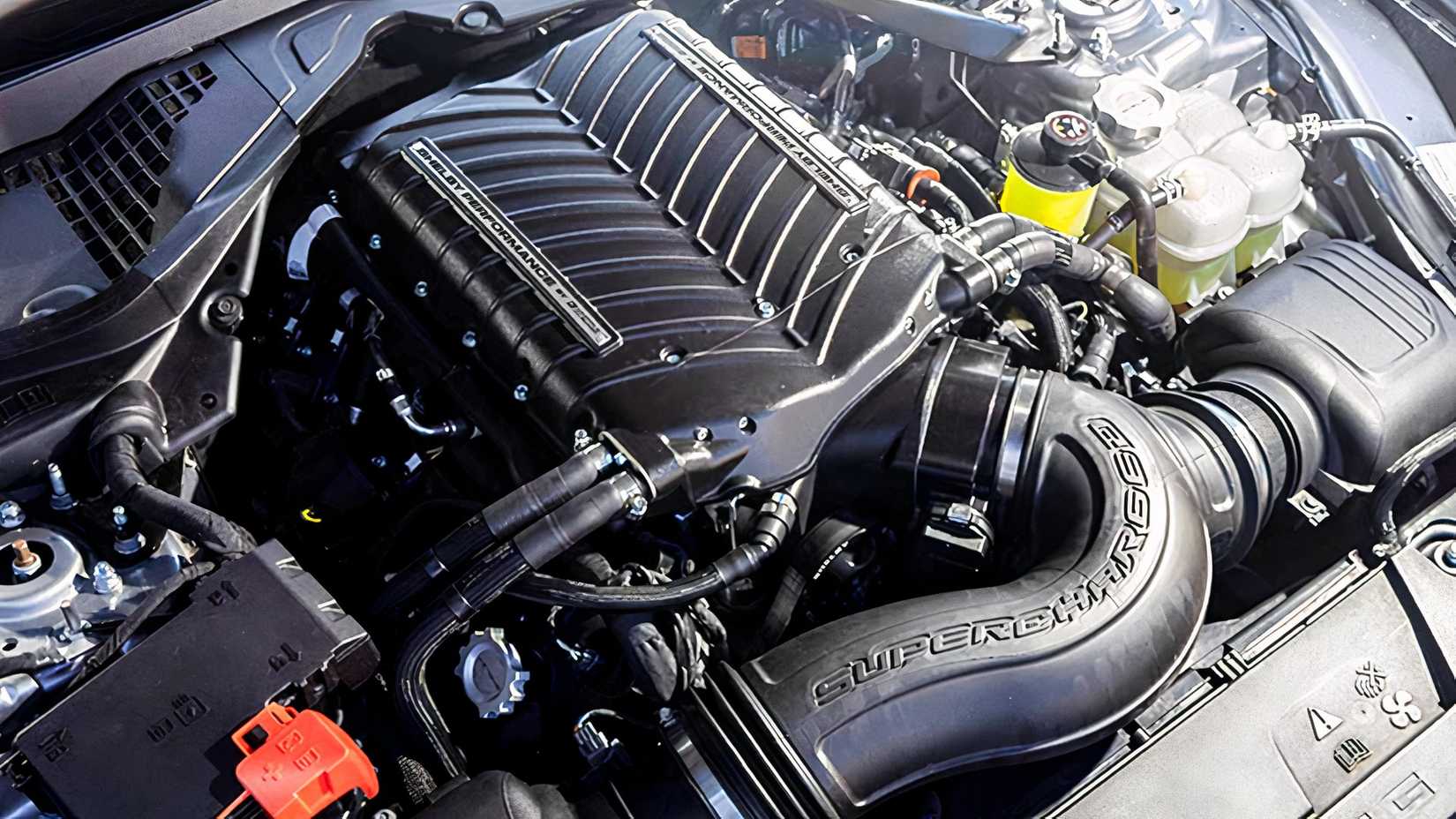 The 2026 Super Snake Offers More Power Than The GTD For Half The Price