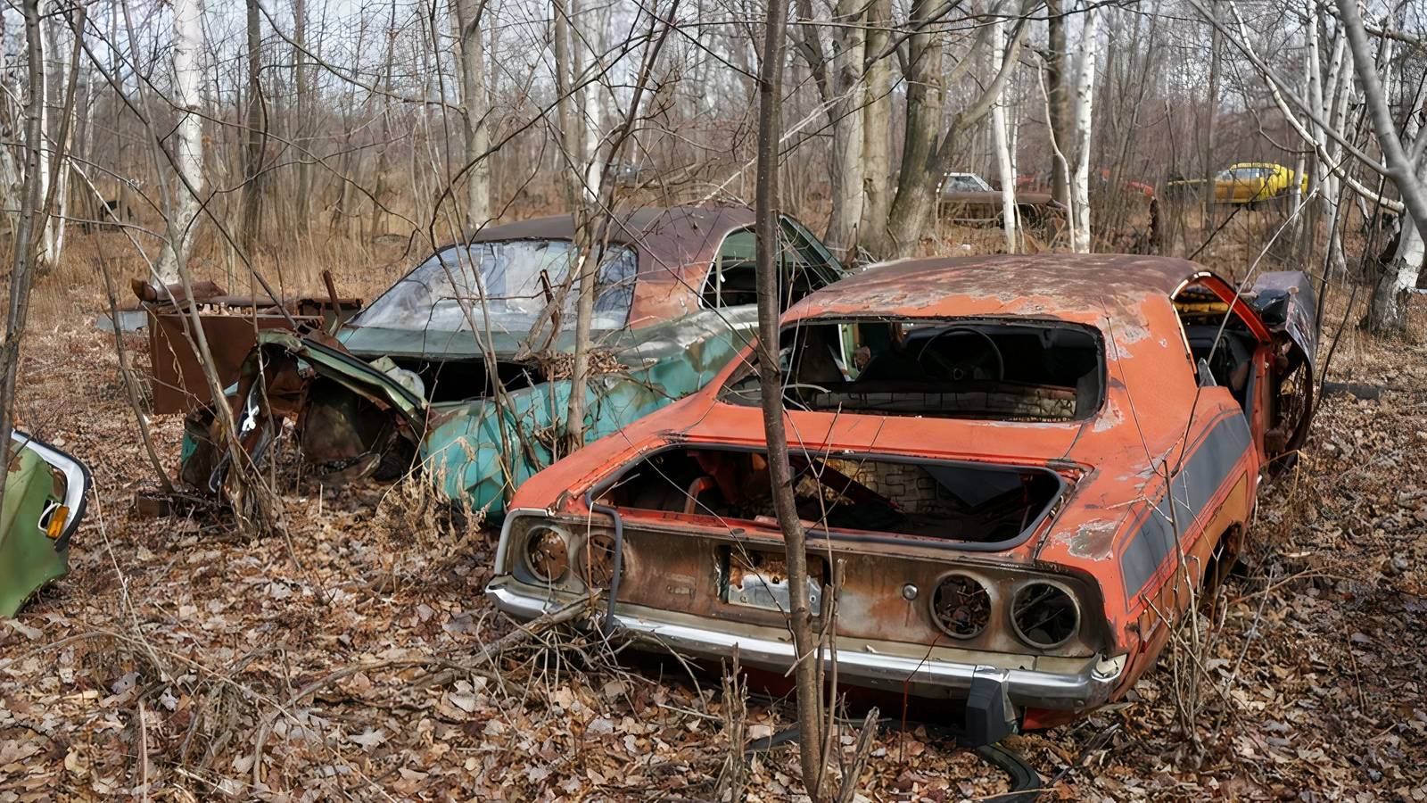 This Forest Of Forgotten Mopar Muscle Will Make Classic Car Fans Cry