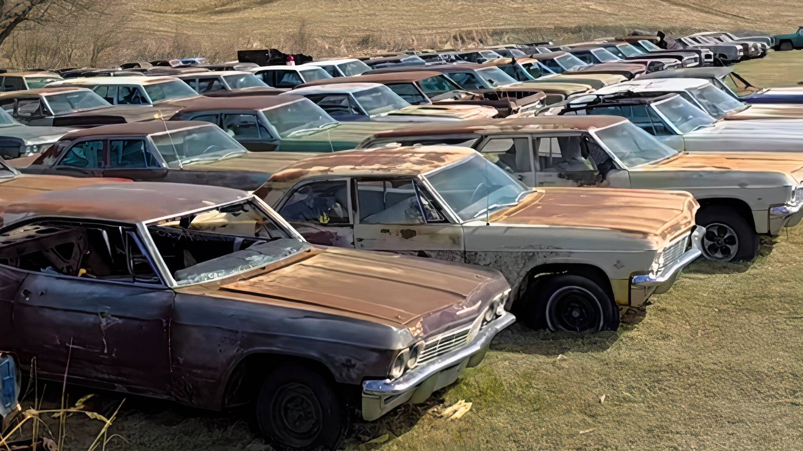 Massive Chevy Hoard Reveals Hundreds Of Impalas Hidden In Nebraska